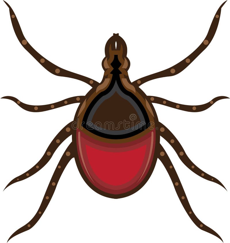 Tick insect stock vector. Illustration of arthropod, disease - 53556363
