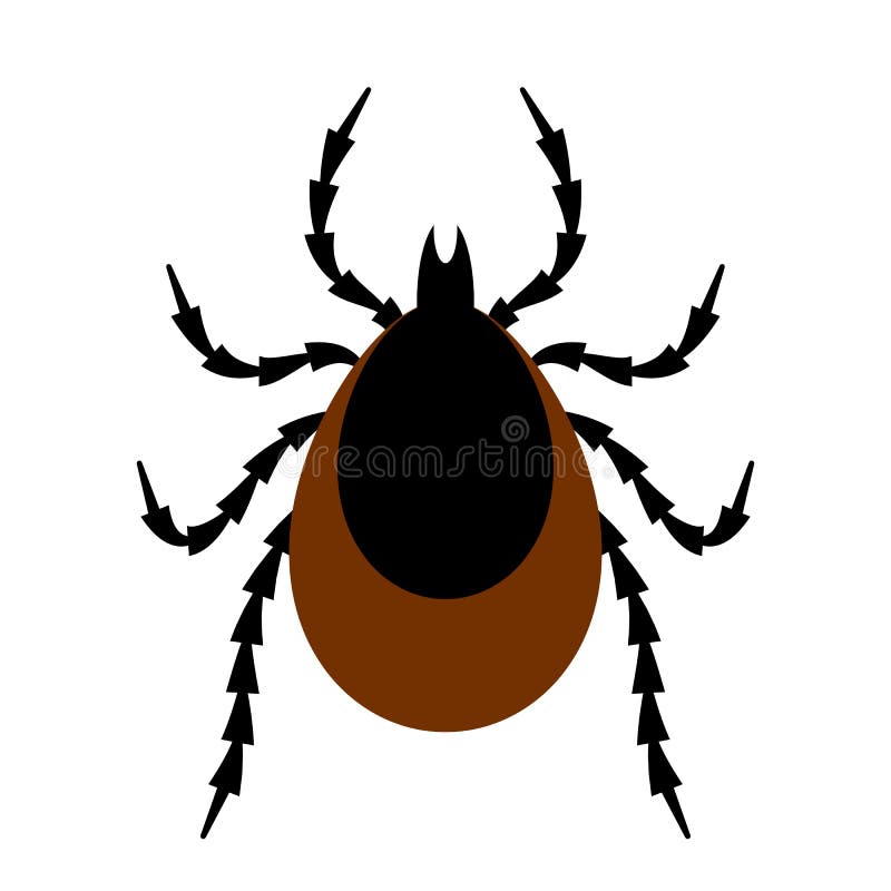 Tick insect stock vector. Illustration of arthropod, disease - 53556363