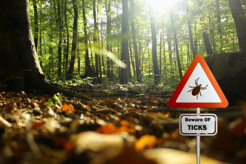 Warning Sign for Infected Ticks in a Forest. Risk of Tick and Lyme ...
