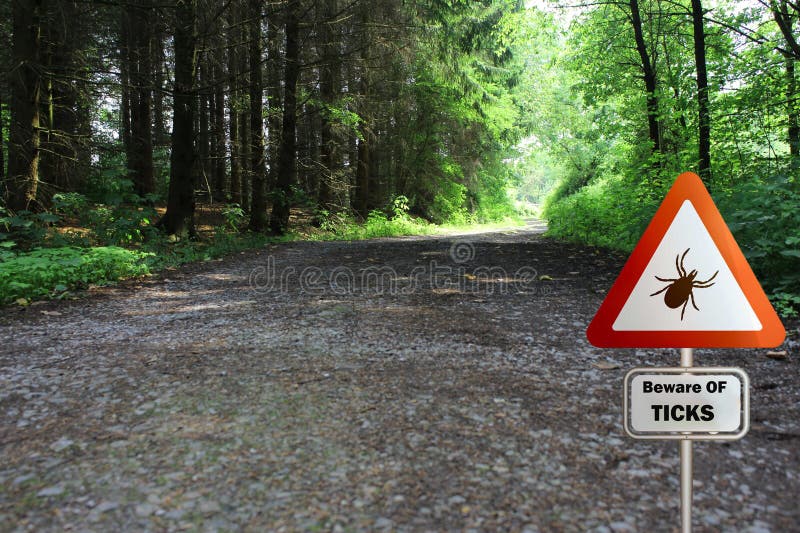 Ixodes Ricinus Tick Road Warning Sign Stock Photos - Free & Royalty ...