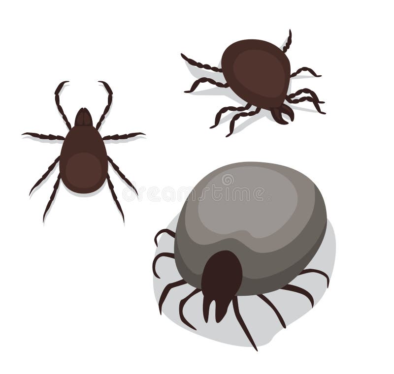 Tick Poses Cartoon Vector Illustration Stock Vector - Illustration of ...