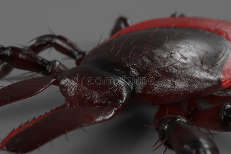 Tick stock illustration. Illustration of tick, ricinus - 82521973