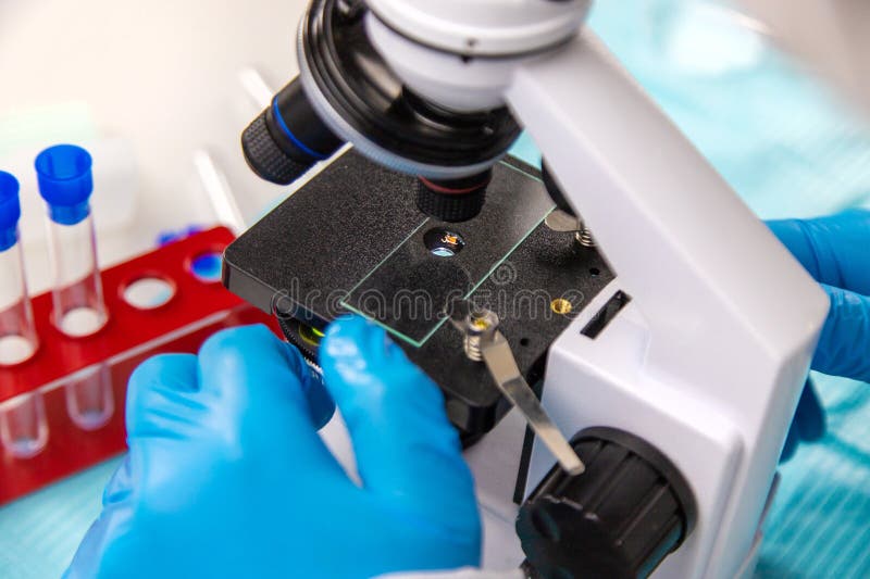 Tick in a Test Tube in the Laboratory. Selective Focus Stock Photo ...