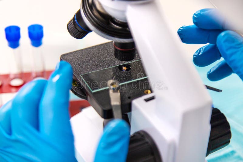 Tick in a Test Tube in the Laboratory. Selective Focus Stock Photo ...