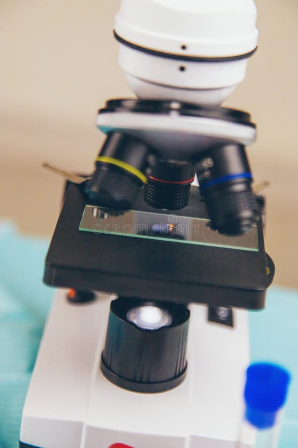 Tick in a Test Tube in the Laboratory. Selective Focus Stock Image ...