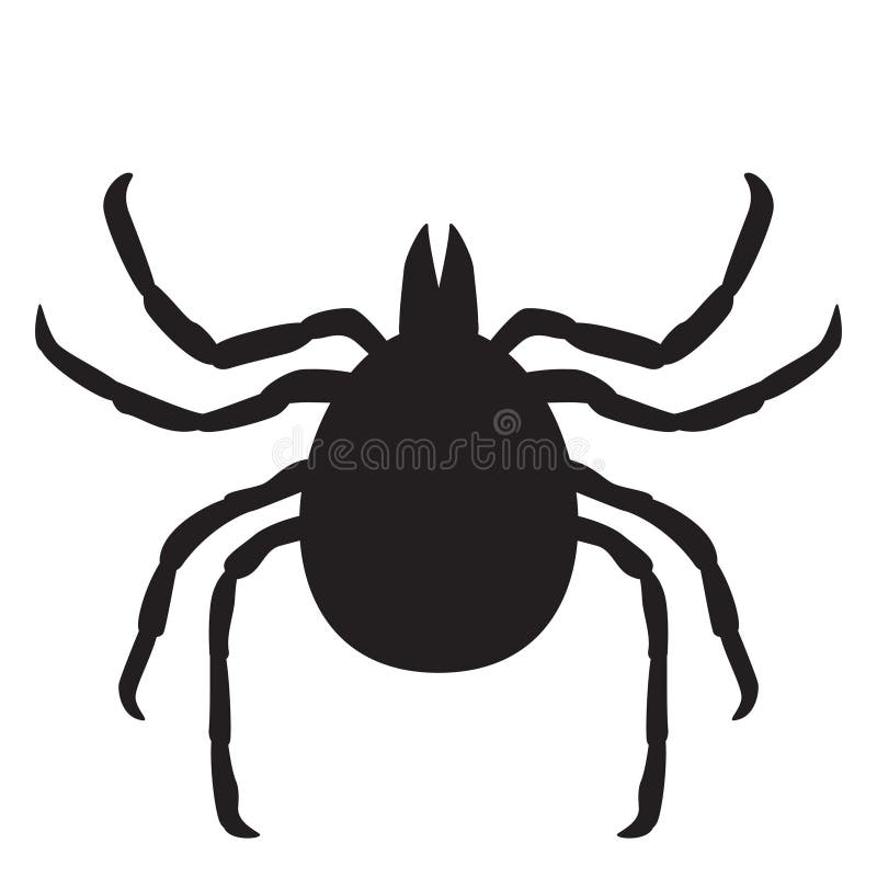 Tick Vector Illustration. Insect is Simple Flat Style Isolated on White ...