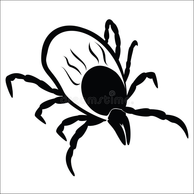 Tick Bug Stock Illustrations – 4,564 Tick Bug Stock Illustrations ...
