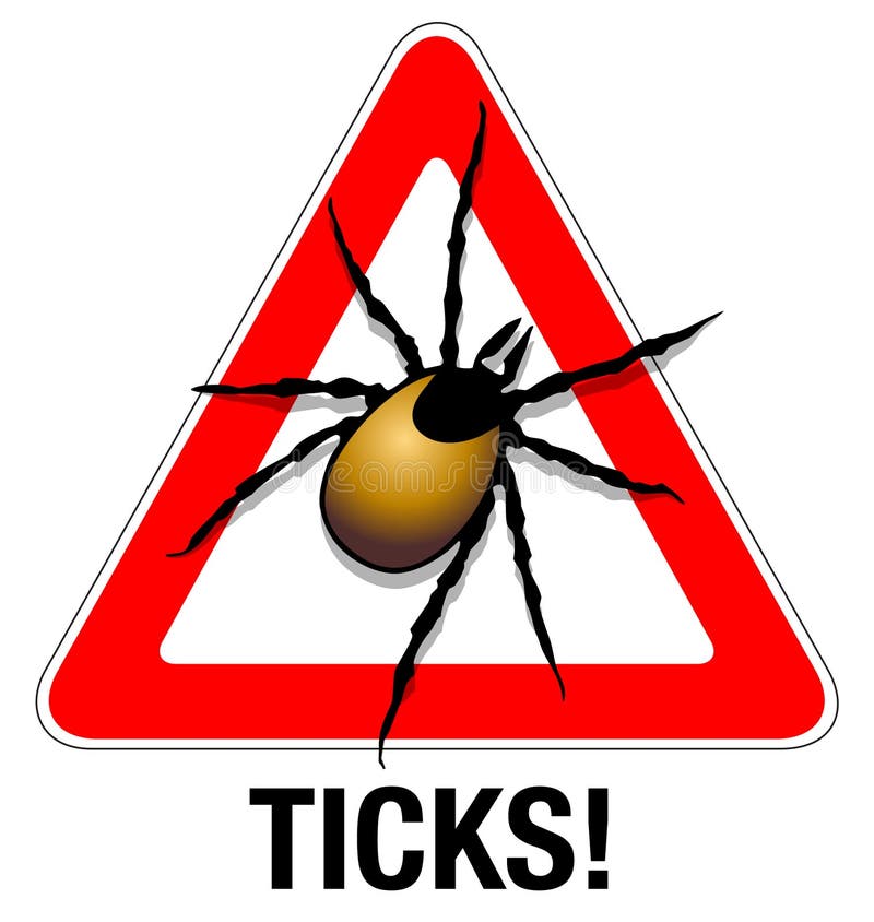 Tick warning sign stock vector. Illustration of detailed - 24919365