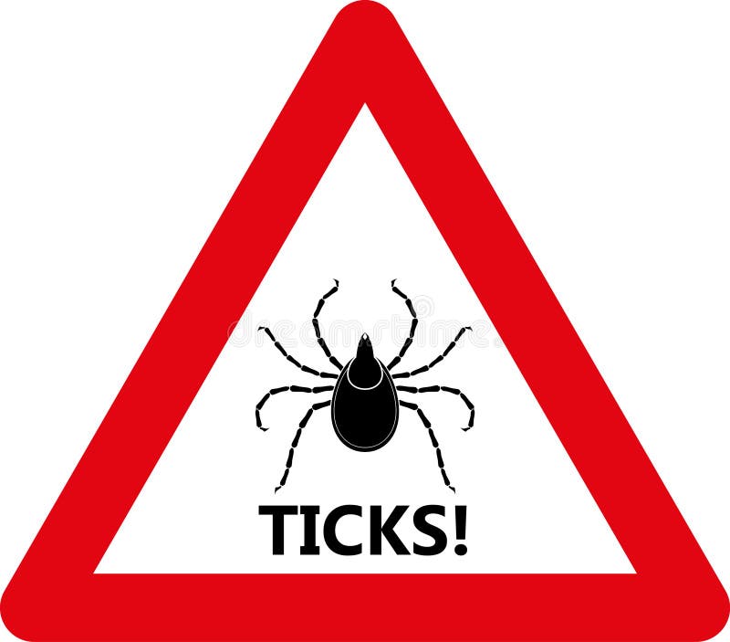 Tick warning sign stock vector. Illustration of detailed - 24919365