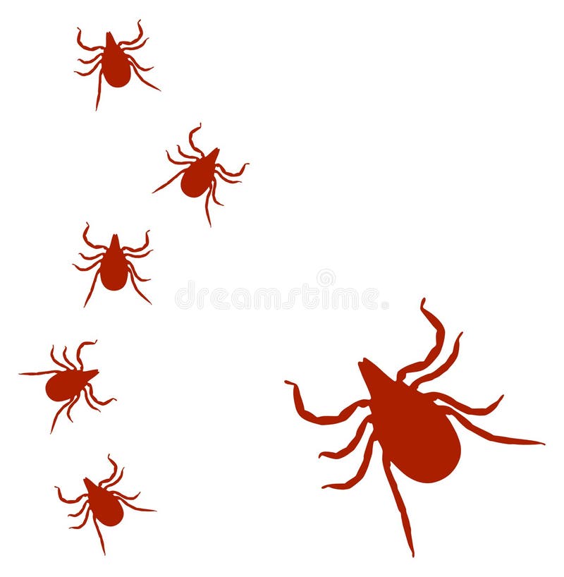 Dog ticks stock illustration. Illustration of animal - 30855675