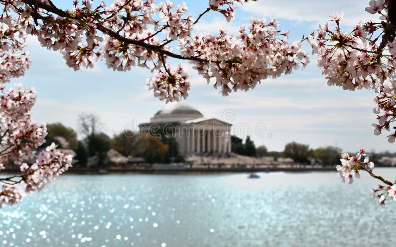 Tidal Basin and Jefferson Memorial during Spring Stock Image - Image of ...