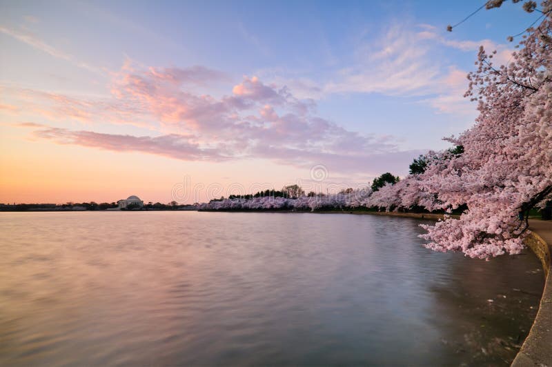 The Tidal Basin in Washington DC Stock Image - Image of jefferson, lens ...
