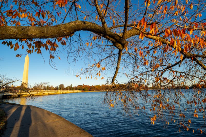 Tidal Basin and the Washington Monument in Fall at Dusk Stock Photo ...