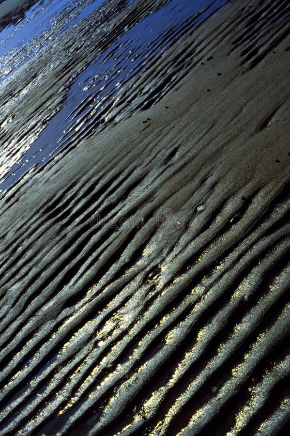 Tidal Beach Sand Ripples stock image. Image of sands - 14180601