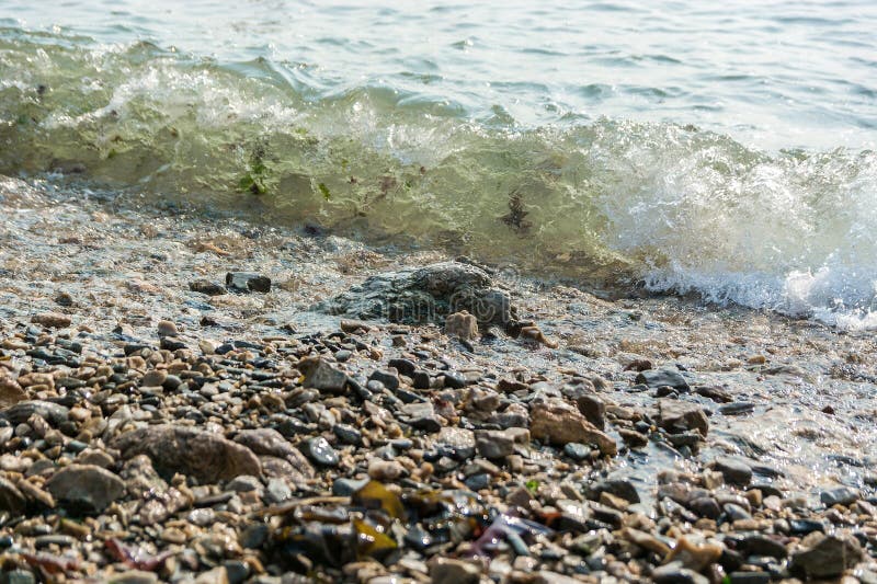 Tidal Bore. the Wave Rolls Onto the Seashore, Which is Covered with ...