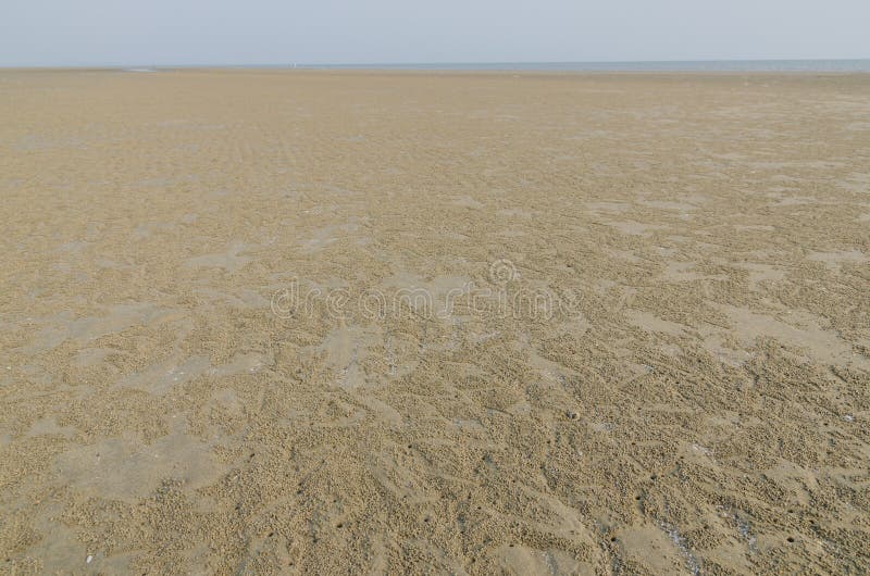 The Tidal Flat in the Ebb Tide Time Stock Image - Image of clear, light ...