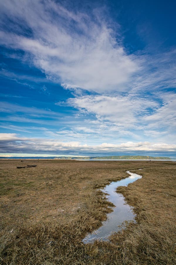 Tidal Lands Marsh on Puget Sound Stock Image - Image of clouds, cloud ...