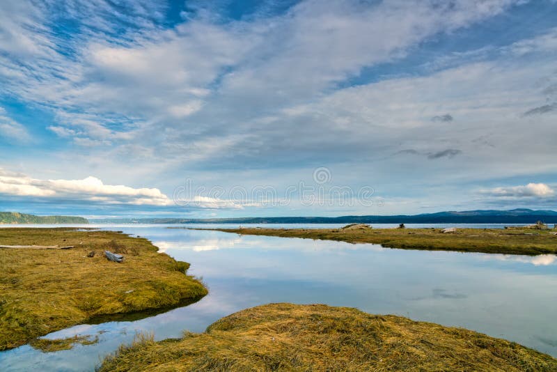 Tidal Lands Marsh on Puget Sound Stock Image - Image of clouds, cloud ...