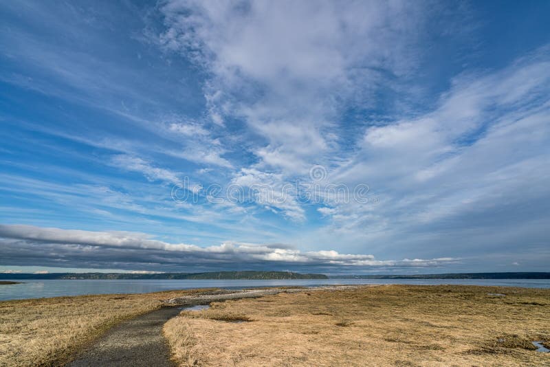 Tidal Lands Marsh on Puget Sound Stock Photo - Image of clouds, coast ...