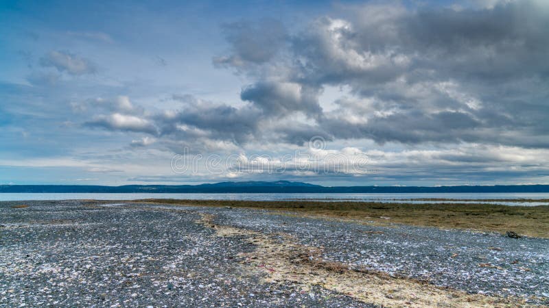 Tidal Lands Marsh on Puget Sound Stock Photo - Image of travel, ocean ...