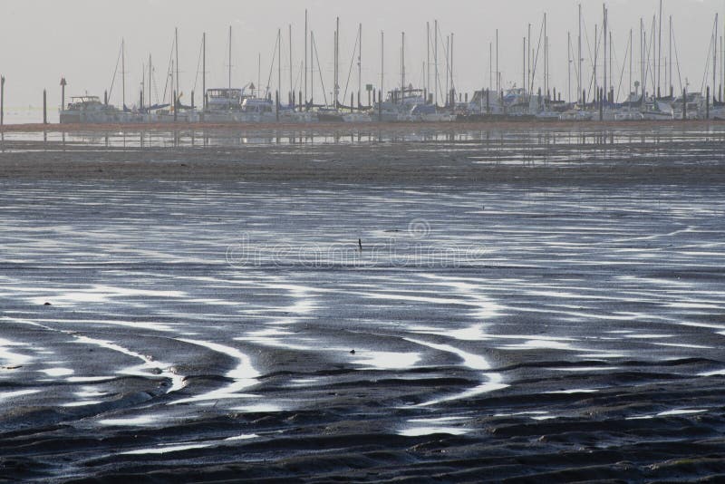 Tidal Mud Flat Patterns during Low Tide with Sailboats in a Harbor in ...