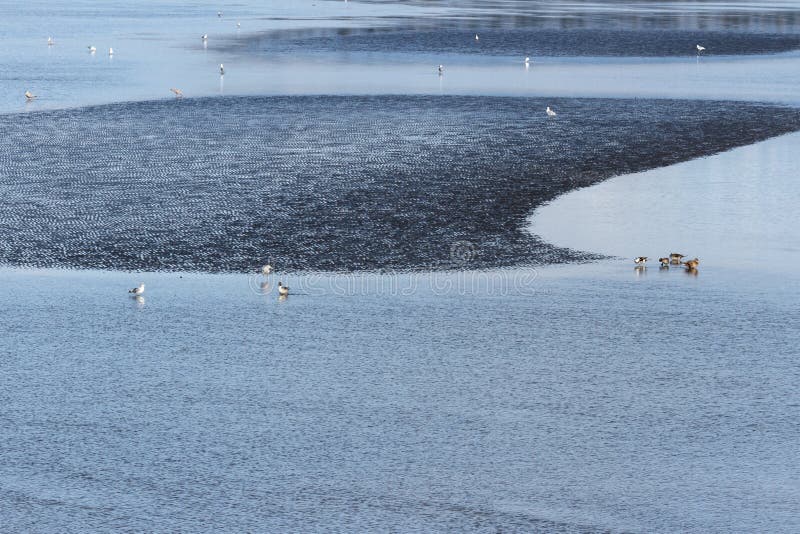 Tidal mud flats stock photo. Image of sand, beauty, reflection - 153522758