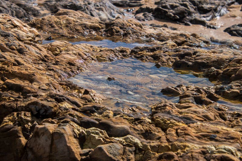 Tidal Pool on Brown Rough Rock Formation by the Ocean Stock Image ...
