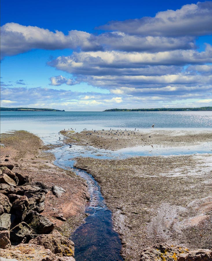 Tidal Pool on Canadian Coast Stock Photo - Image of tidal, rocky: 182334890