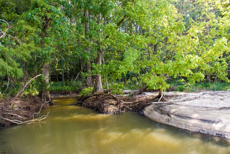 Tidal Pool stock photo. Image of river, stunning, high - 56541350