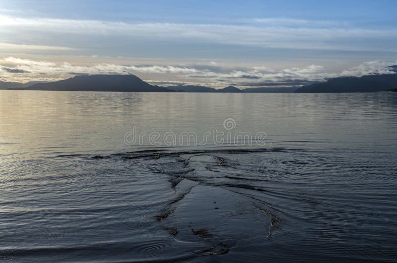 Tidal ripples at sunset stock photo. Image of ripples - 140171802