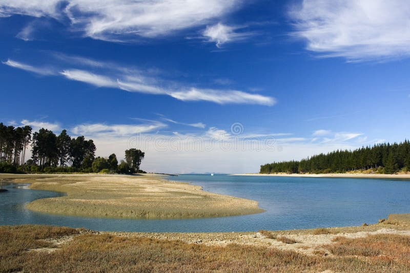 Tidal River stock photo. Image of swamp, inlet, trees, tidal - 415908