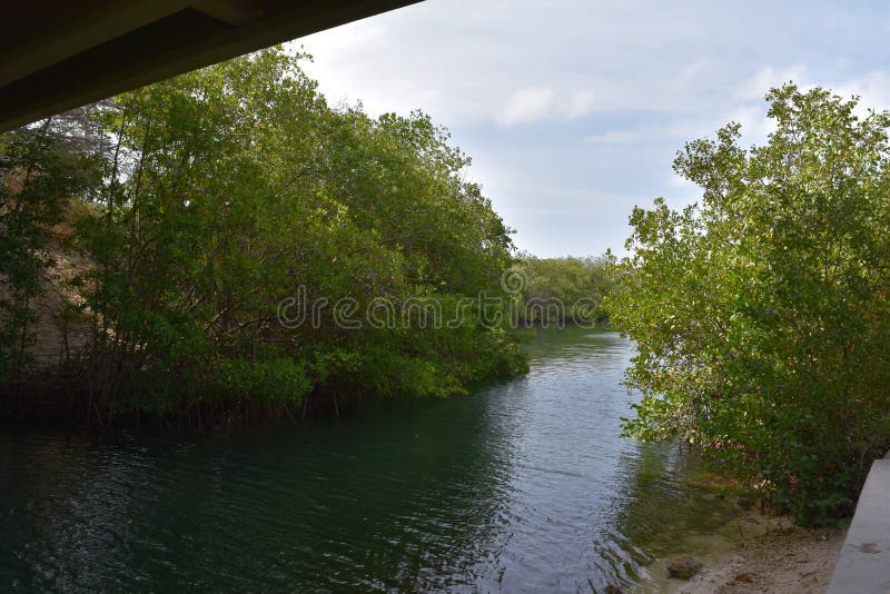 Tidal River of the Spanish Lagoon Flowing Under a Bridge Stock Image ...