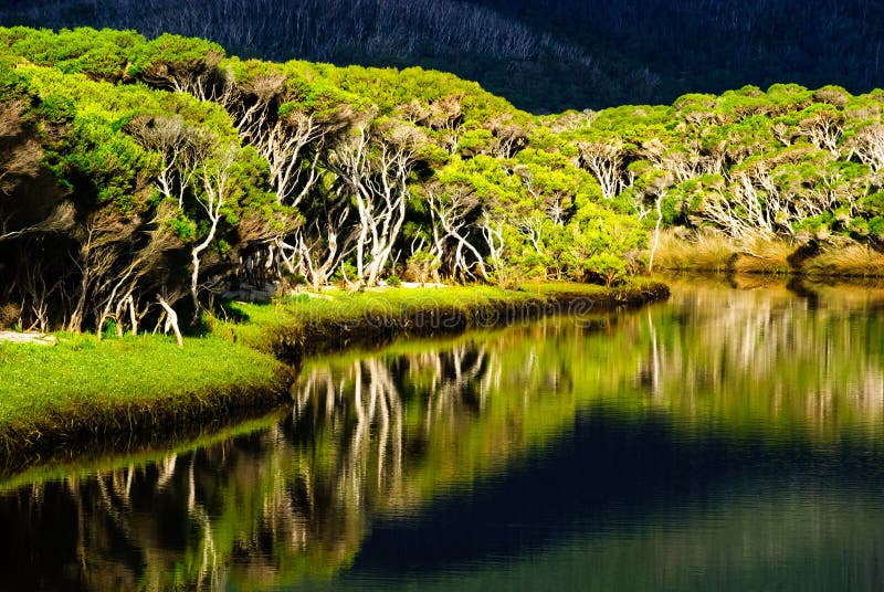 Tidal river wilsons prom stock photo. Image of flow, environment - 39519292