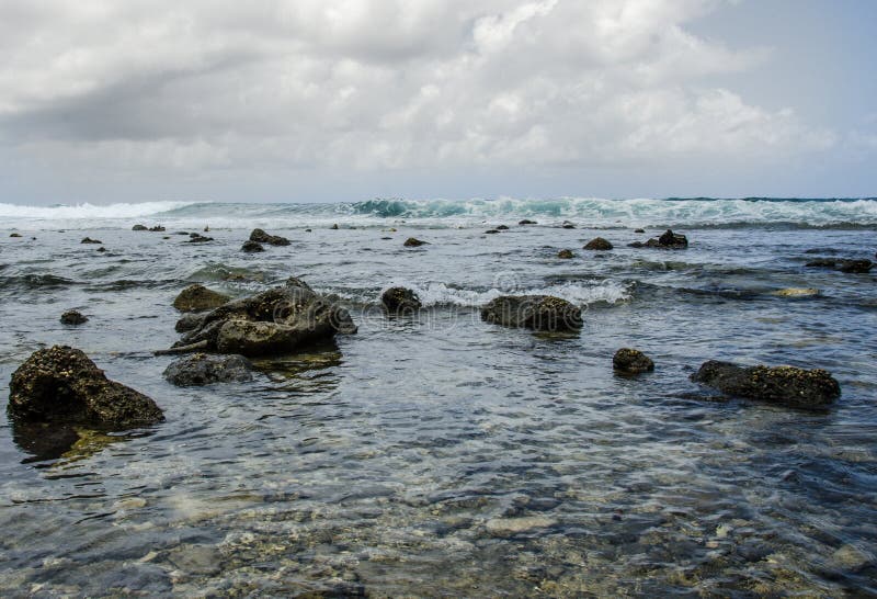 Tidal wave stock photo. Image of temperature, tidal, shells - 26447946