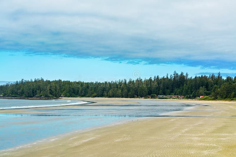Tidal Waves are Coming into Pacific Ocean Inlet on Vancouver Island ...