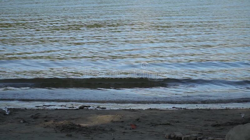 The Tide. Beach on the Sea or River. Water Comes To Sand Stock Video ...