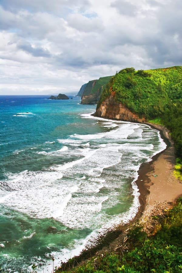 Tide of the ocean stock image. Image of coastline, grass - 10607347