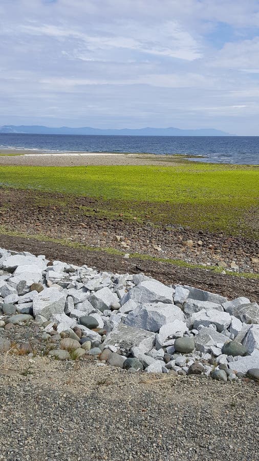 Tide is out stock photo. Image of landscape, ecoregion - 96054860