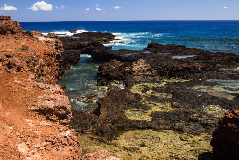 Tide Pool stock image. Image of states, sharks, pacific - 44405733