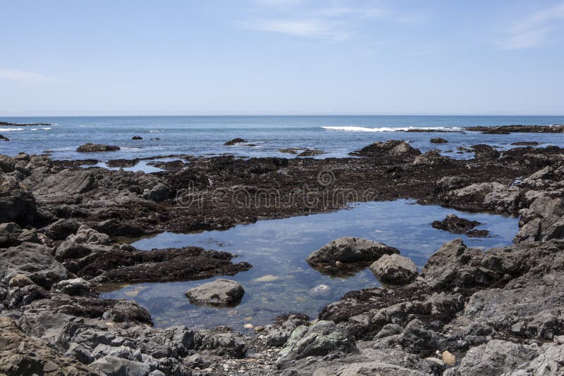 Tide Pool stock image. Image of ocean, marine, tide, tidal - 41098033