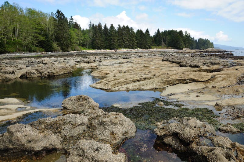 Tide pools stock image. Image of park, stone, beach, provincial - 15272929