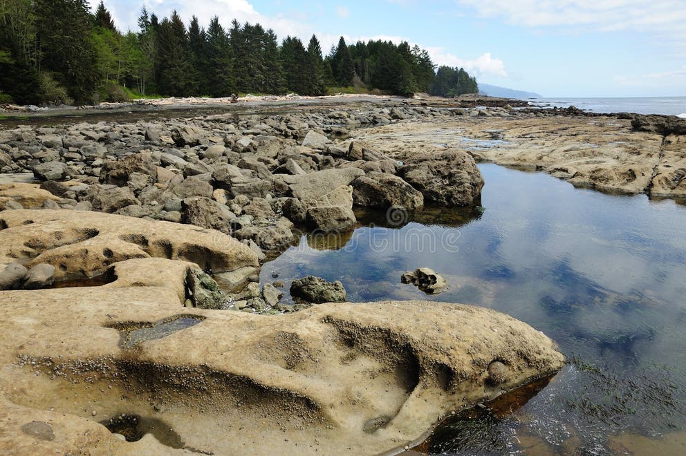 Tide pools on beach stock image. Image of shore, canada - 14404867