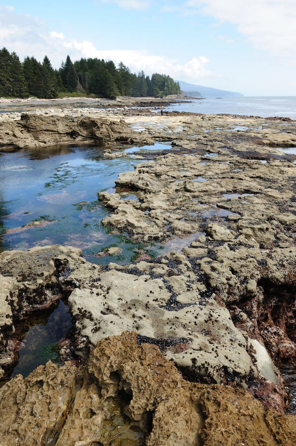Tide pools on beach stock image. Image of tide, pool - 14460237