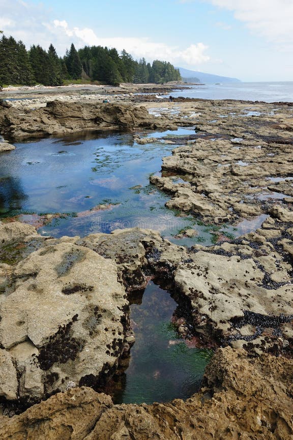 Tide pools on beach stock image. Image of british, rich - 15335027