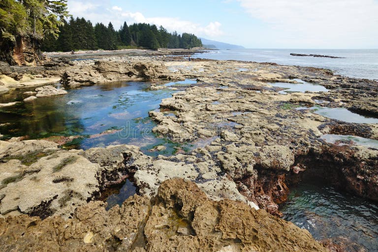 Tide pools on beach stock image. Image of park, marine - 15686417