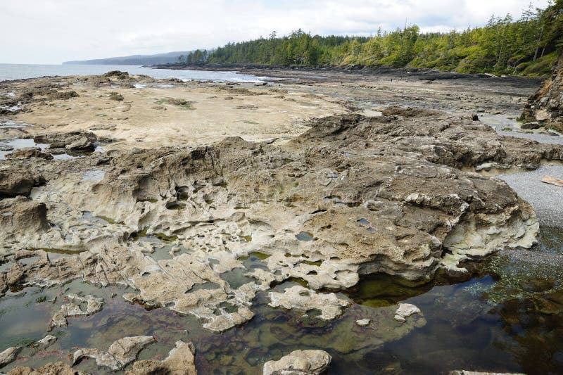 Tide pools on beach stock photo. Image of ocean, british - 15969962