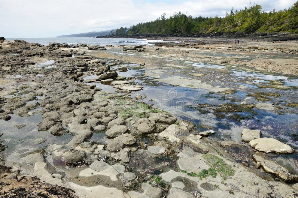 Tide pools on beach stock photo. Image of shore, seafront - 16173002