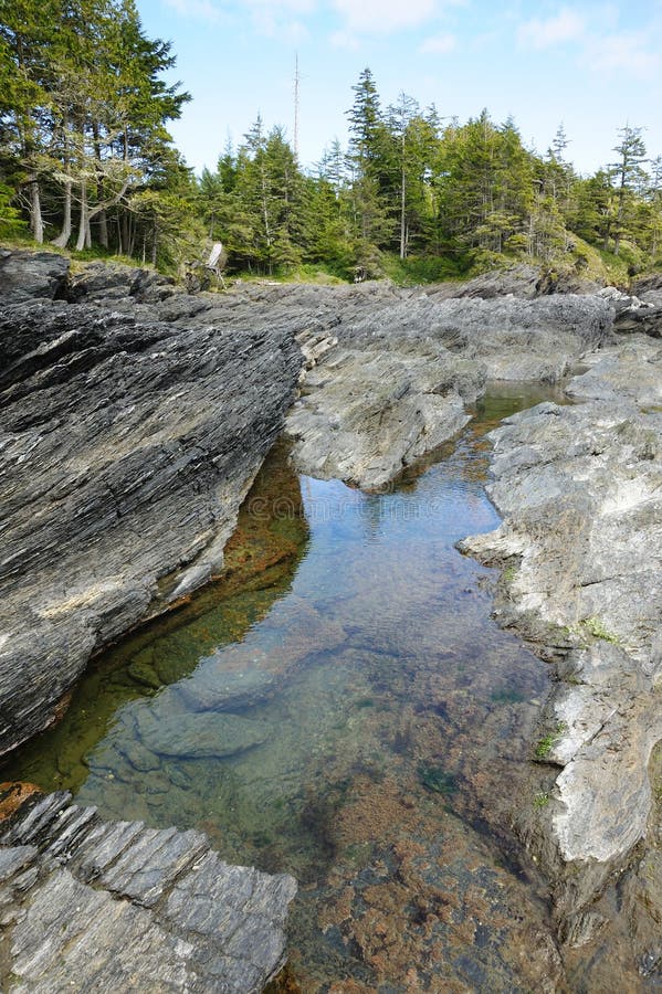 Tide pools on beach stock image. Image of pool, island - 16387697