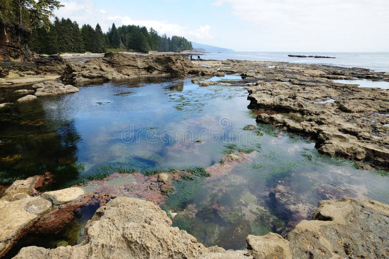 Tide pools on beach stock photo. Image of seascape, shoreline - 16773776
