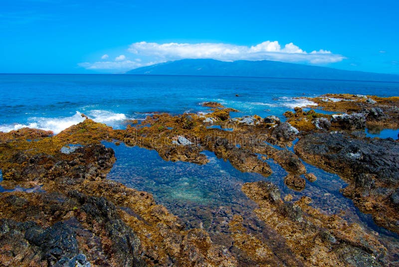 Tide Pools on the Coast of Maui, Hawaii Stock Image - Image of geology ...